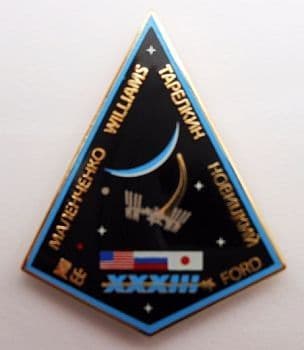 Expedition 33 ISS International Space Station Mission Lapel Pin ...