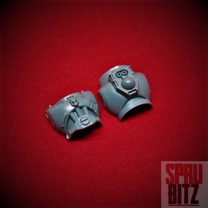 Space Marine Body Torso front and back skull