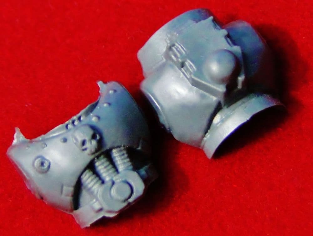 Space Marine Body Torso Skull front and back