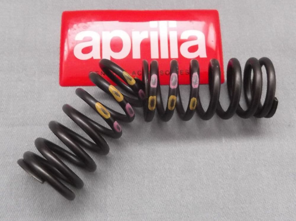 Aprilia RSV1000 Uprated Inner Valve Spring Pair AP0239510