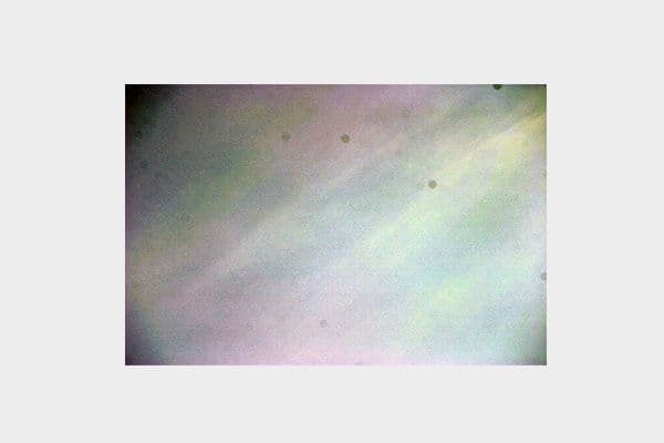 Camera Sensor Cleaning the Easy Way | SRB Photographic