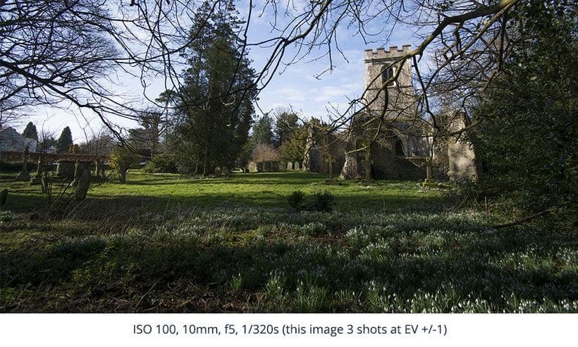 How to Photograph Snowdrops | SRB Photographic