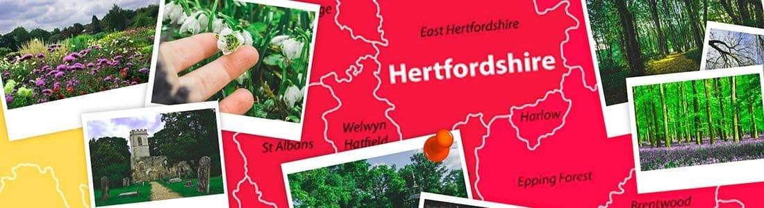 Where To Photograph In The Home Counties | SRB Photographic