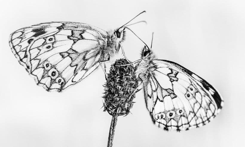 Women in Photography: An interview with Victoria Hillman | SRB Photographic