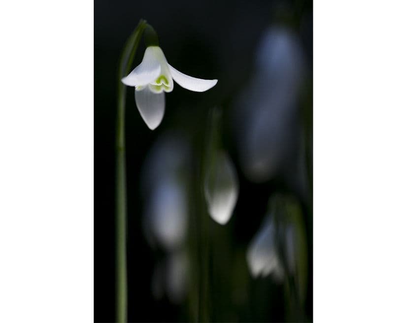 Women in Photography: An interview with Victoria Hillman | SRB Photographic