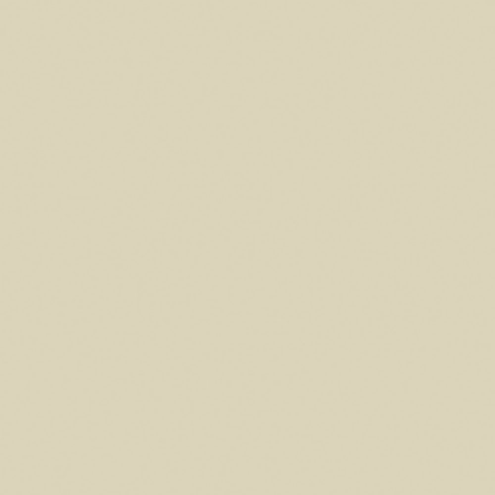 Corian Solid Surfaces - Bone