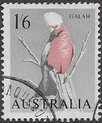 Australia Stamps 1964 SG 365 Galah Bird Fine Used
