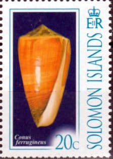 Solomon Islands 2006 Shells SG 1204 Fine Mint
