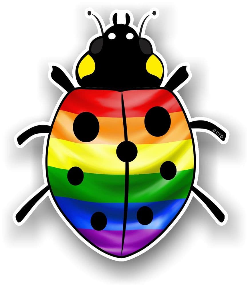 Ladybird Bug Design With LGBT Gay Pride Flag Motif External Vinyl Car ...