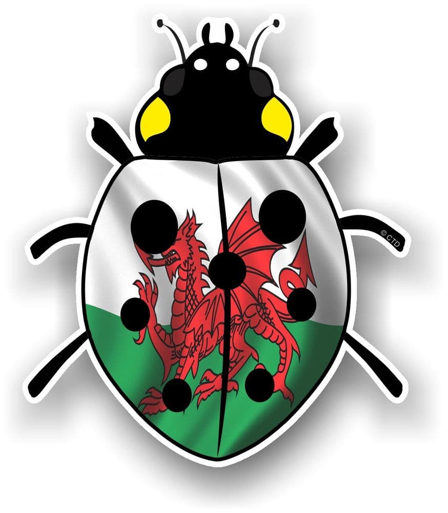 Ladybird Bug Design With Wales Welsh CYMRU Flag Motif External Vinyl ...