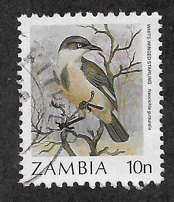 1987 10n WHITE WINGED STARLING FINE USED