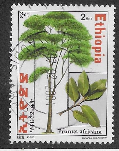 2002 2B TREES FINE USED