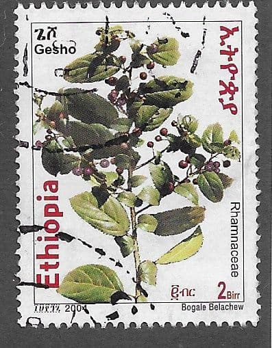 2004 2B GESHO PLANT FINE USED