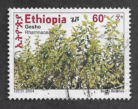 2004 60c GESHO PLANT FINE USED