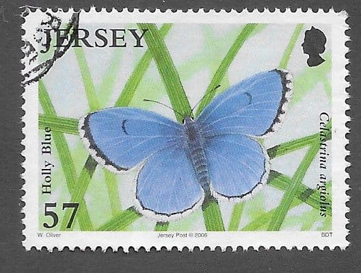 2006 57P HOLLY BLUE BUTTERFLY FINE USED