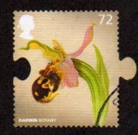 2009 72P DARWIN FINE USED