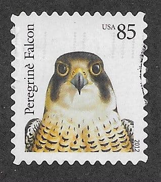 2012 85c S/A PEREGRINE FALCON FINE USED
