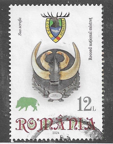 2024 12L THE BOAR TROPHY FINE USED