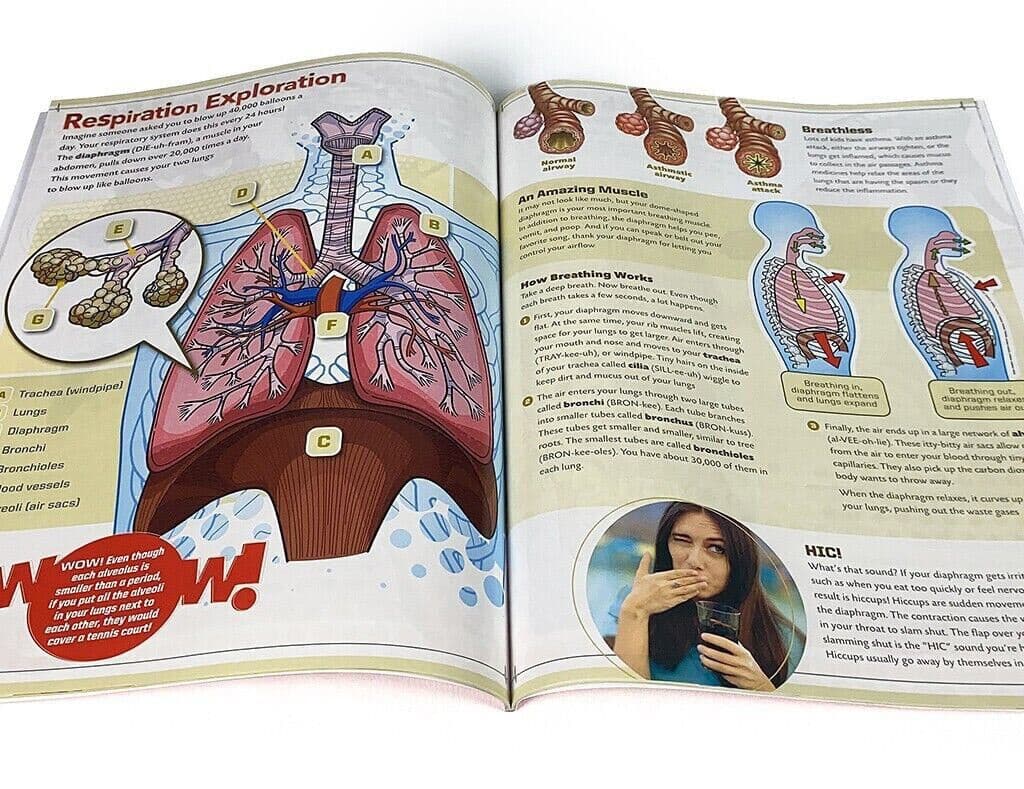 Smart Lab Ultimate Squishy Human Body with Smart Scan Technology