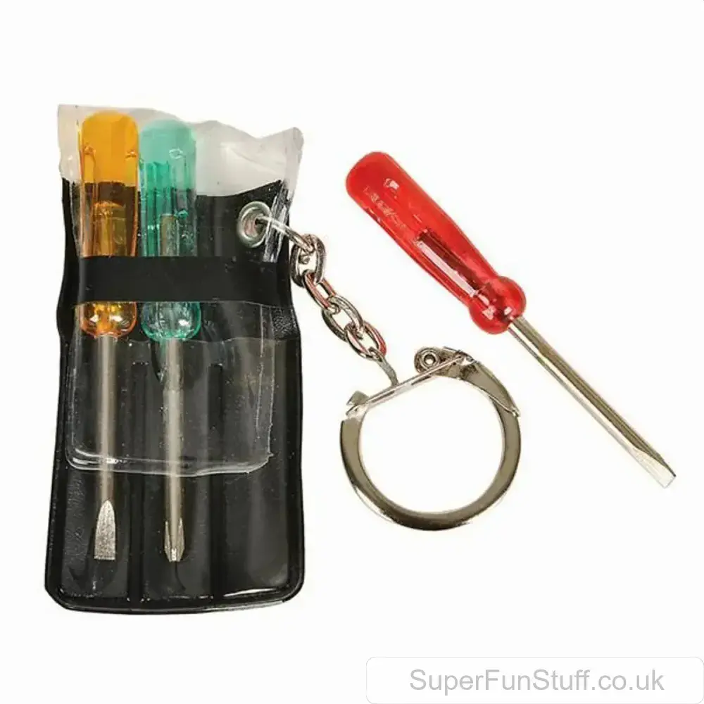 3 Piece Mini Screwdriver Set Keyring in Pouch | Small Tool Set Keychain ...