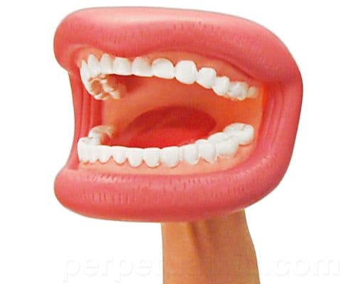 Giant Mouth Hand Puppet Prop |Funny Gift Idea