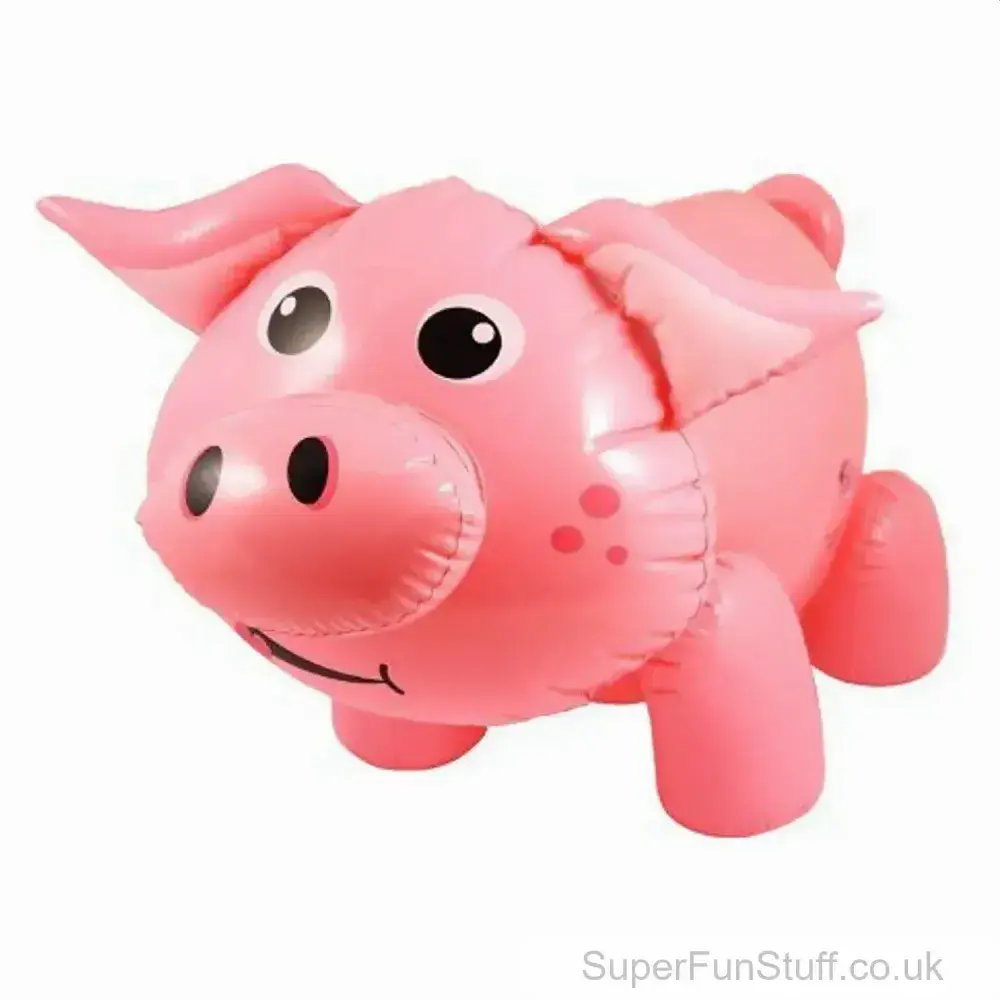 Inflatable Pig - 55cm | Blow Up Farm Animal Toy for Kids | UK