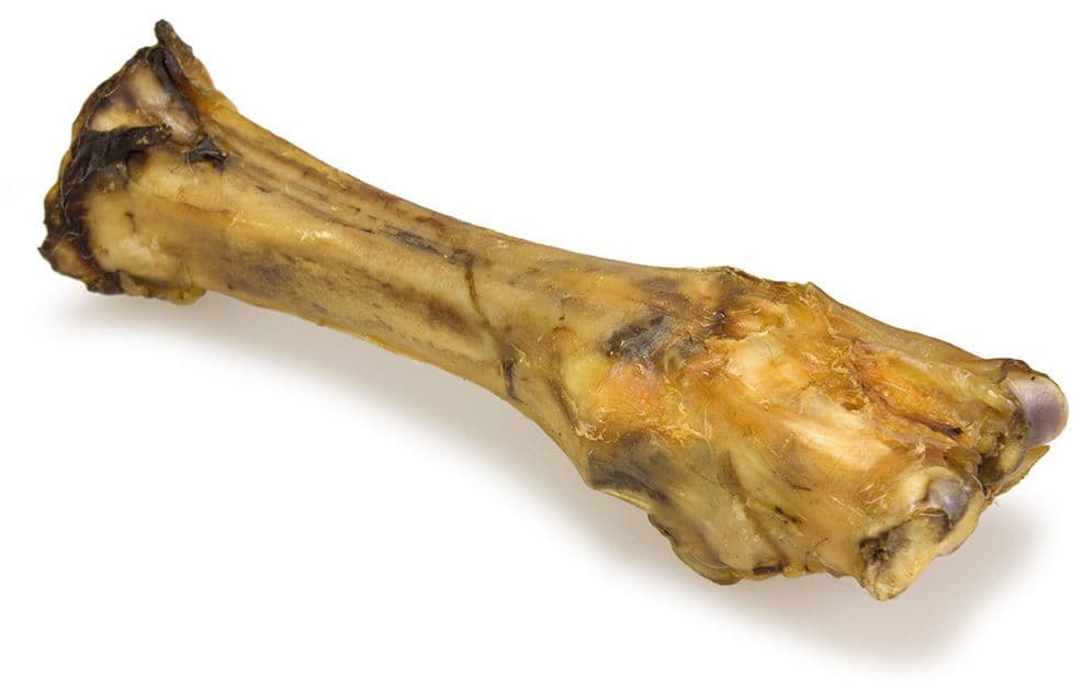calf leg