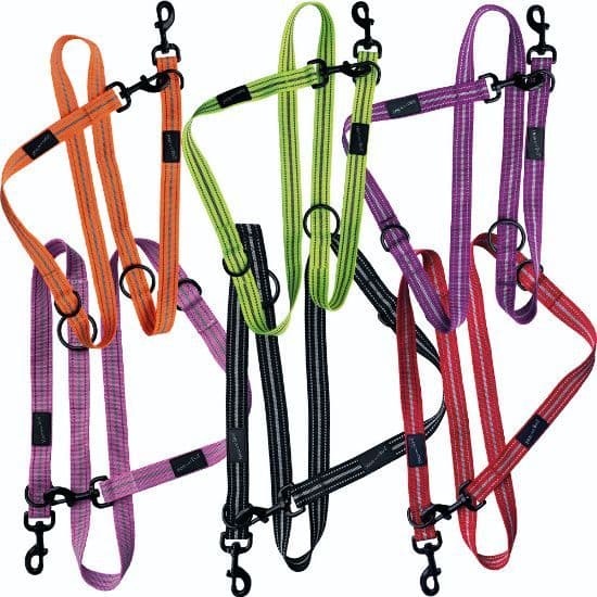 hem and boo Sports training lead