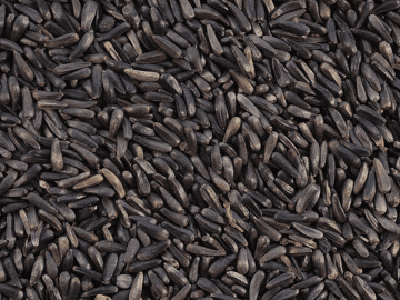 Own pre-bagged Niger seed