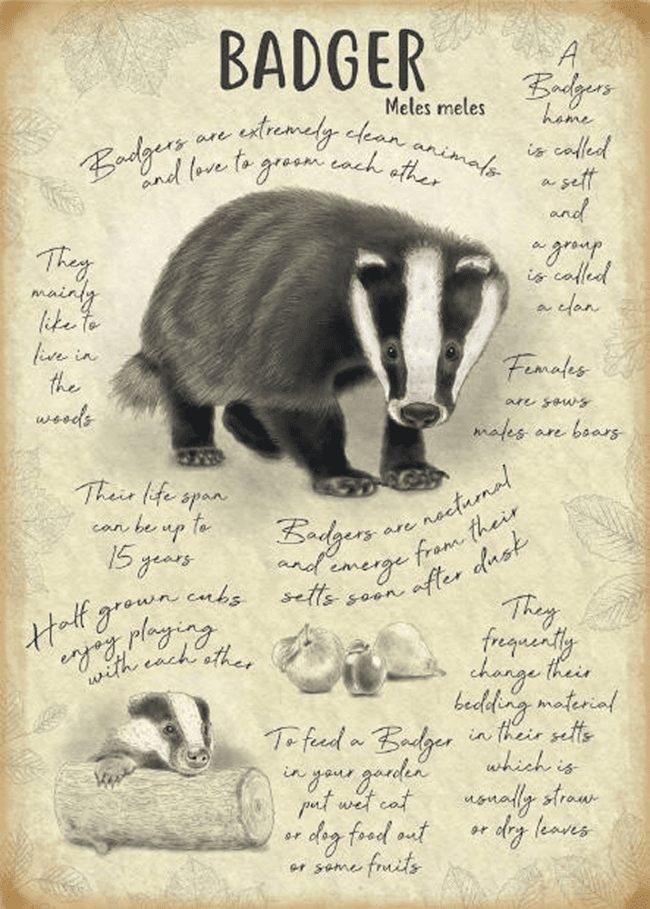 Badger Metal Wall Sign (3 sizes) | Badger Wall Art | Badger Gifts