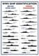 World War II Ship Identification Poster A3