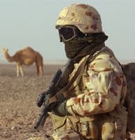 ESS Striker Series Goggles, Land Ops | Tactical-Kit