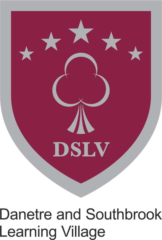 DSLV Junior Leavers Hoodies