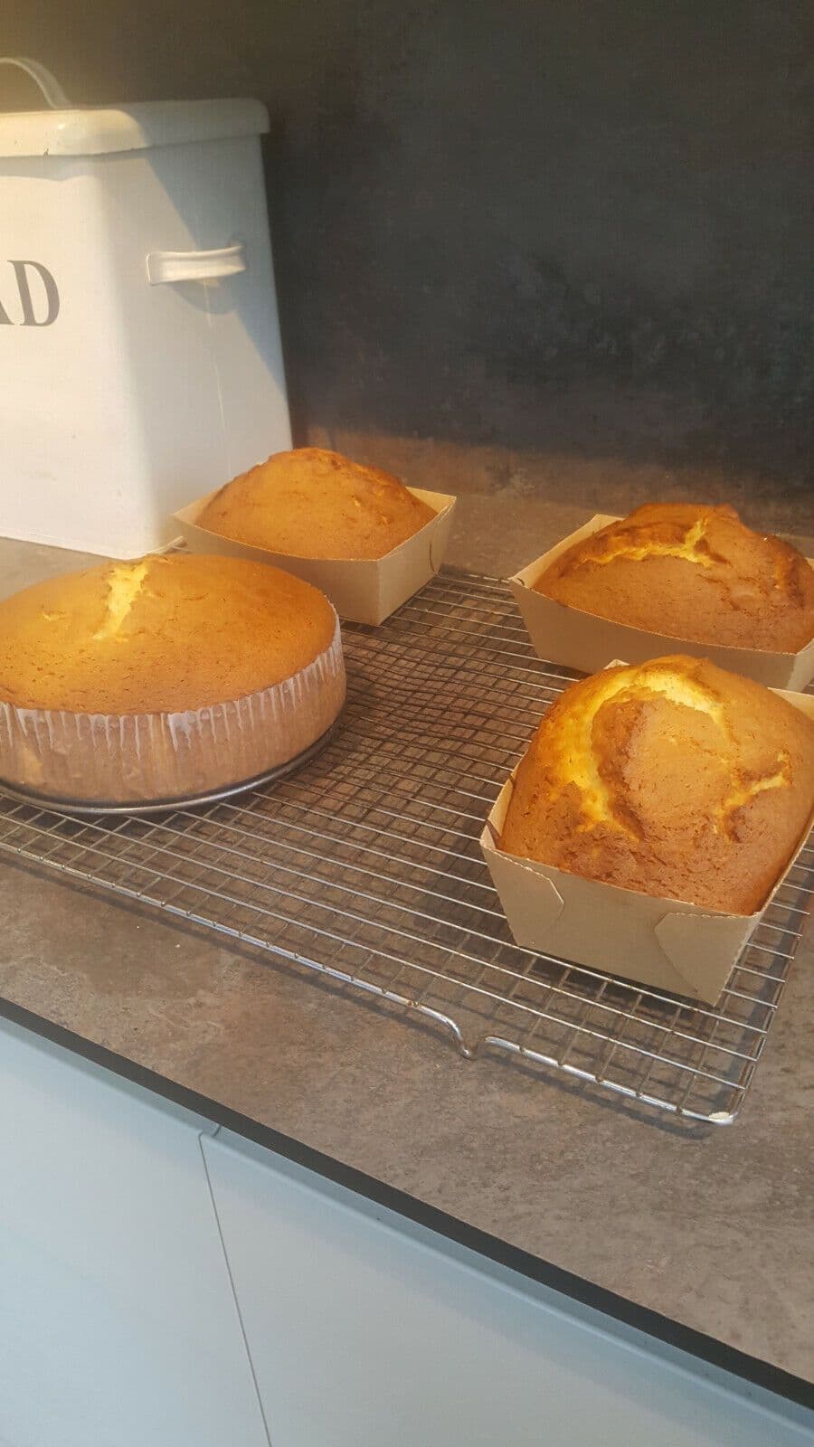 1kg Bako Lemon Cake Mix - Easy To Use & Superb Taste