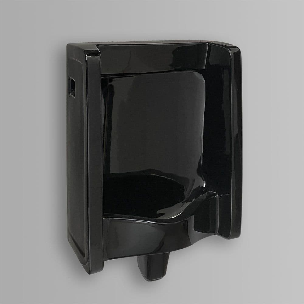 Single Florida Black Ceramic Urinal Bowl - Rear Inlet