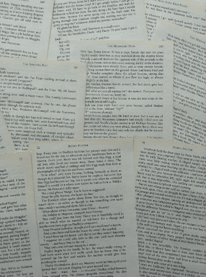 Harry Potter-10 Assorted Book Pages