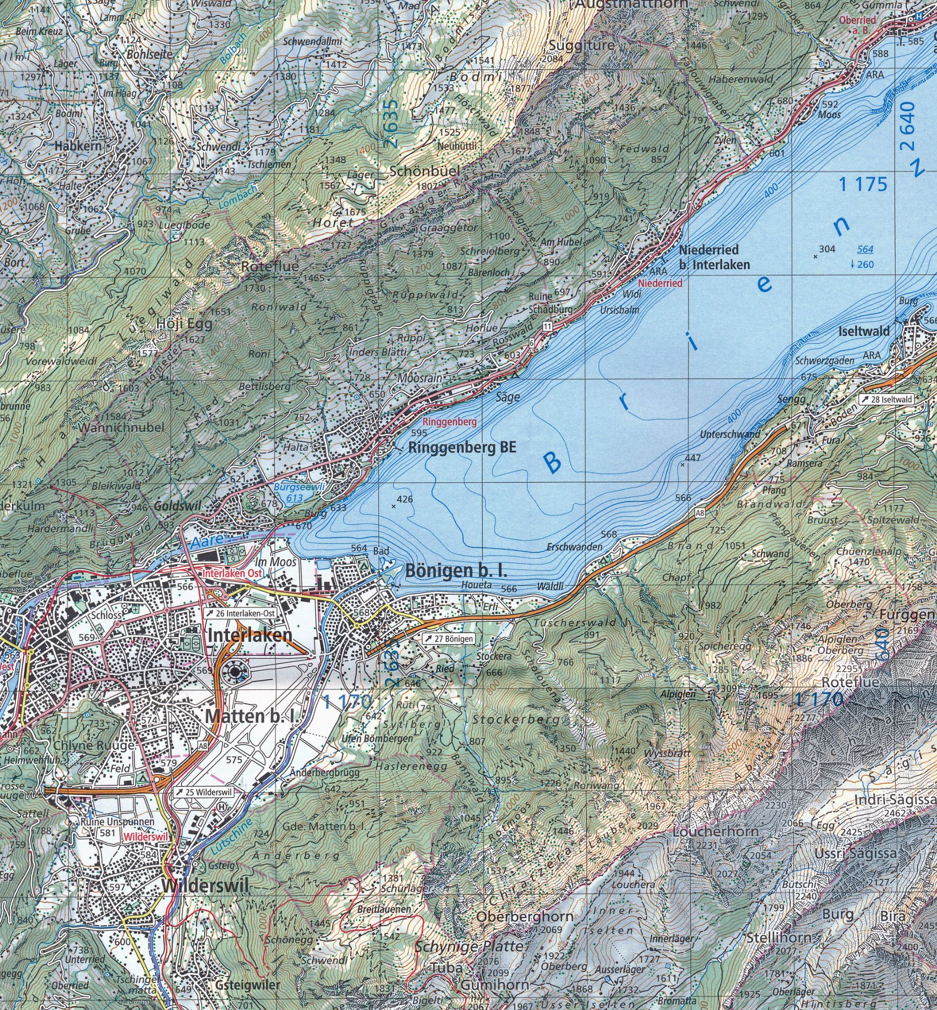 5004 Berner Oberland - Swiss Survey 1 50 000