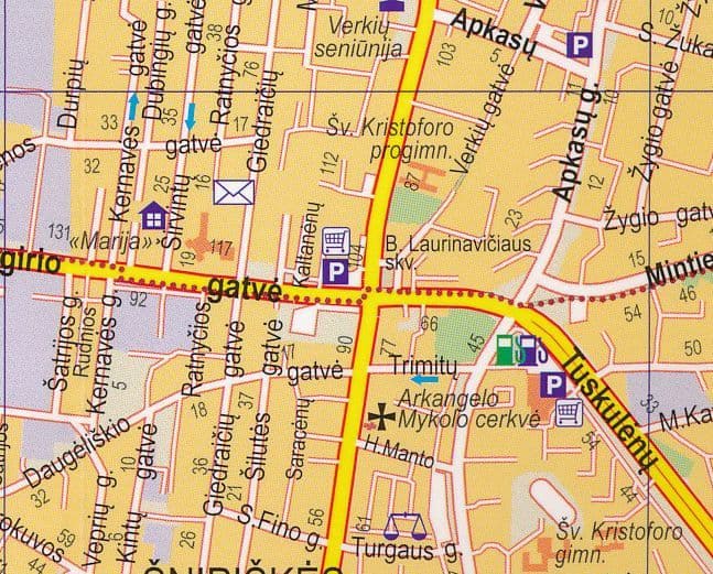 Vilnius Street Map - Jana Seta