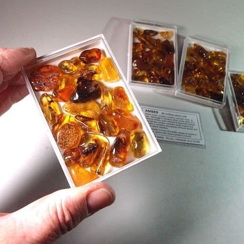 BOX OF POLISHED AMBER - 40 million years old - Baltic
