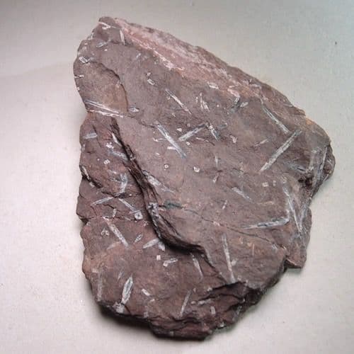 CHIASTOLITE SLATE - Lake District