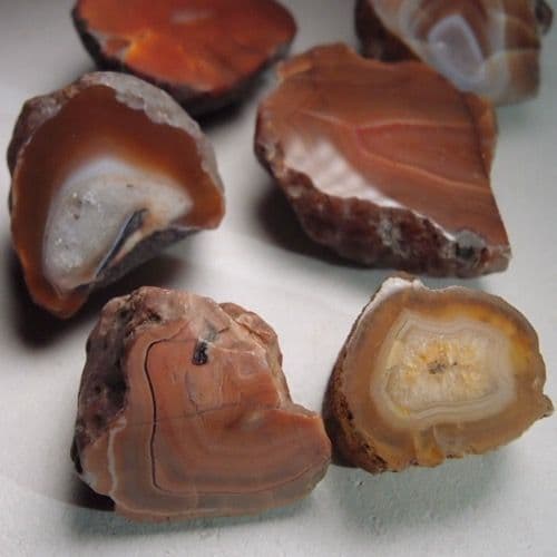 COLLECTION OF POLISHED AGATES - Scotland