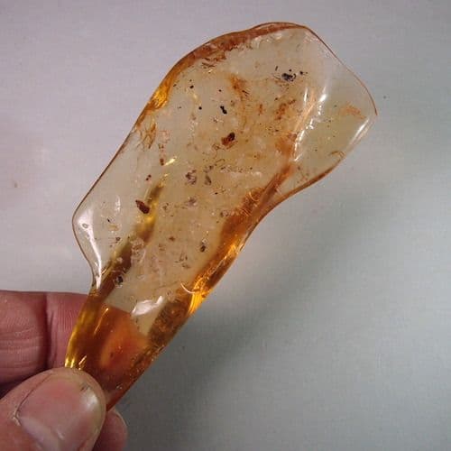 COPAL - containing a spider and insects - Madagascar