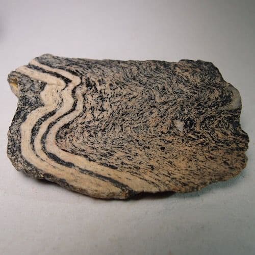 FOLDED GNEISS -small example cut and partly polished