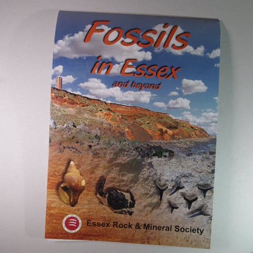 FOSSILS IN ESSEX AND BEYOND NEW COPY