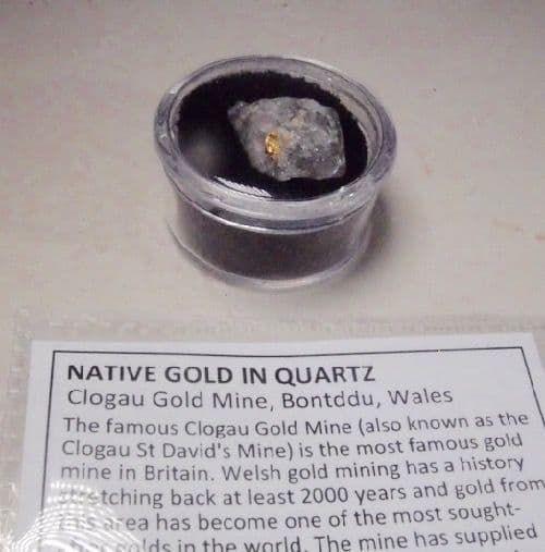 GOLD IN QUARTZ - CLOGAU GOLD MINE NORTH WALES