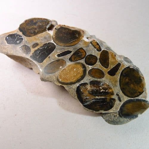 HERTFORDSHIRE PUDDINGSTONE CUT AND POLISHED SLICE