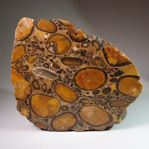 HERTFORDSHIRE PUDDINGSTONE VERY FINE EXAMPLE - Cut and polished