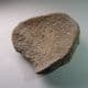 ICHTHYOSAUR PADDLE BONE - Peterborough