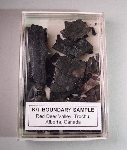 K/T BOUNDARY SAMPLE - Alberta Canada