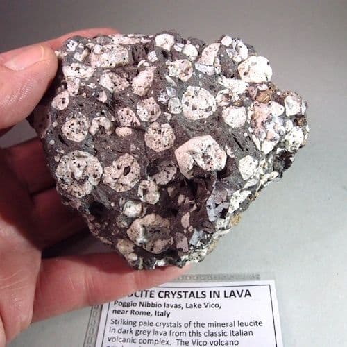 LEUCITE CRYSTALS IN LAVA - Italy